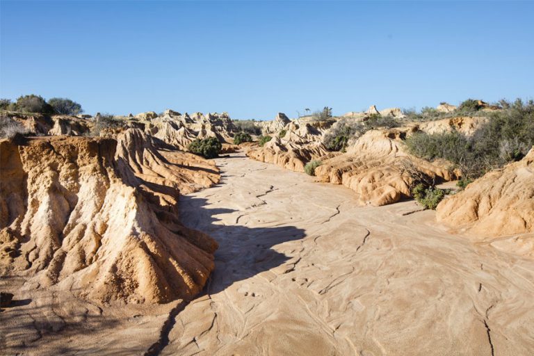 Discover the Magic of Lake Mungo
