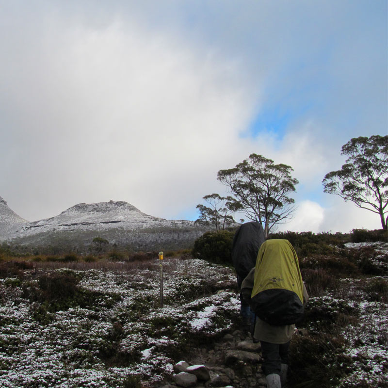 Winter Wonders on the Overland Track.