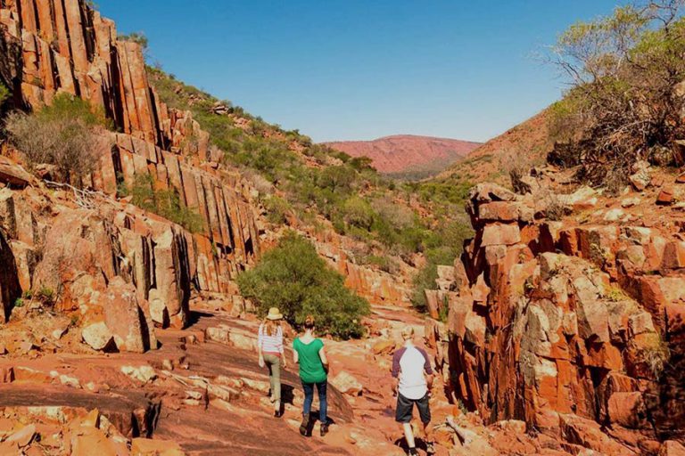 Googs Track - South Australia's Rugged West