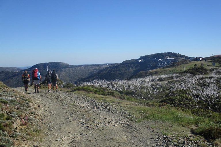 Guide to Hiking Mt Bogong and Feathertop | Snowys Blog