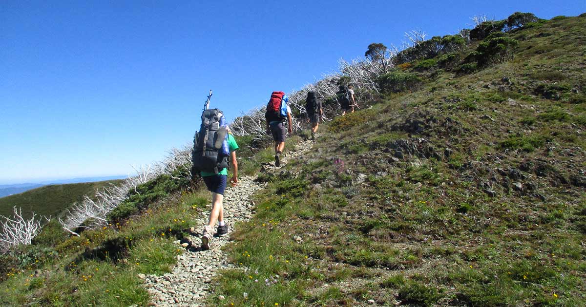 Guide to Hiking Mt Bogong and Feathertop | Snowys Blog