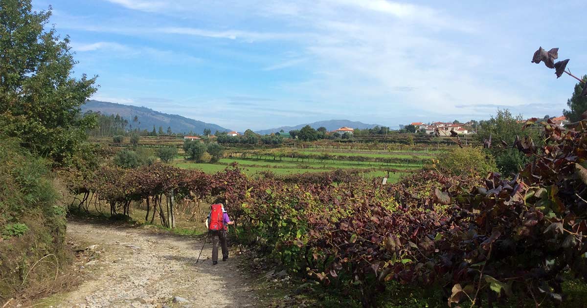 Spain's Camino de Santiago Pilgrimage | Snowys Blog