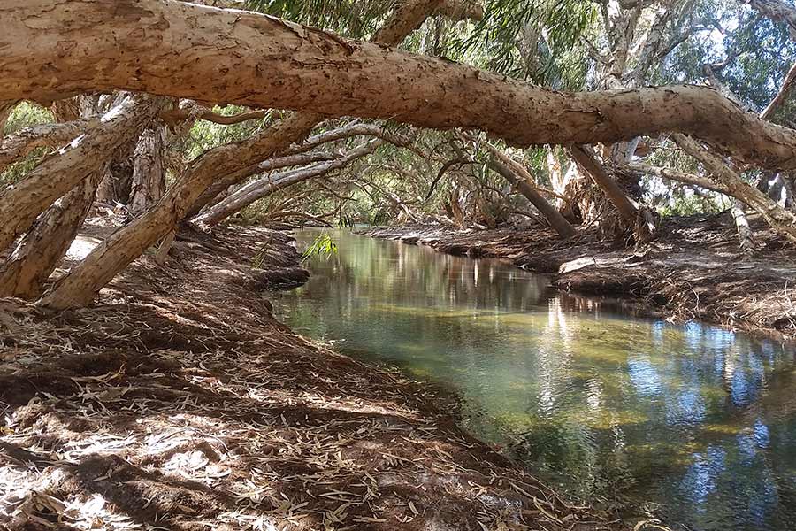 Marble Bar - Travelling to Australia's Hottest Town | Snowys Blog