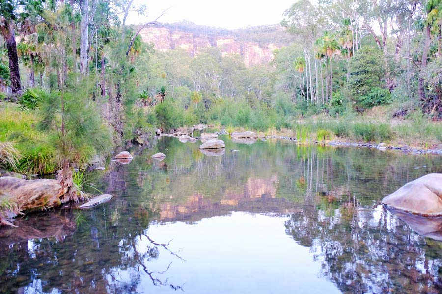 Hiking the Carnarvon Gorge Great Walk, Queensland | Snowys Blog