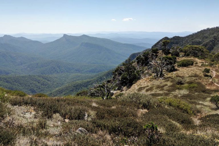 Hiking Mount Howitt in the Victorian Alps | Snowys Blog