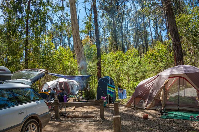 Family-Friendly Campsites Near Melbourne | Snowys Blog