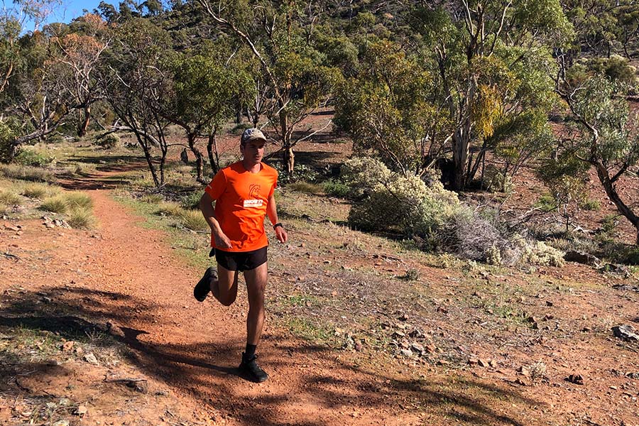 Picking the Right Trails to Run | Snowys Blog